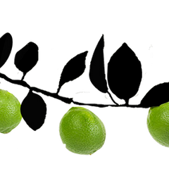 Slange Var | Slange Var - Non Alcoholic Drink - Cheers To Your health